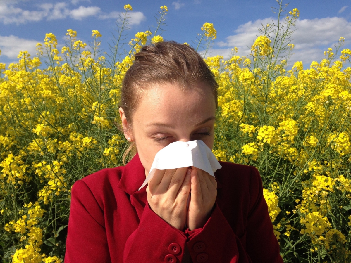 It's Allergy Season! – Laura Miles MD | Dr. Laura Miles